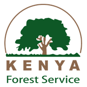 Nursery Attendants (Unskilled Green Army)- (4000) Positions at Kenya ...