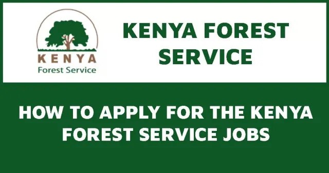 207 Posts - Kenya Forest Service Jobs September 2025